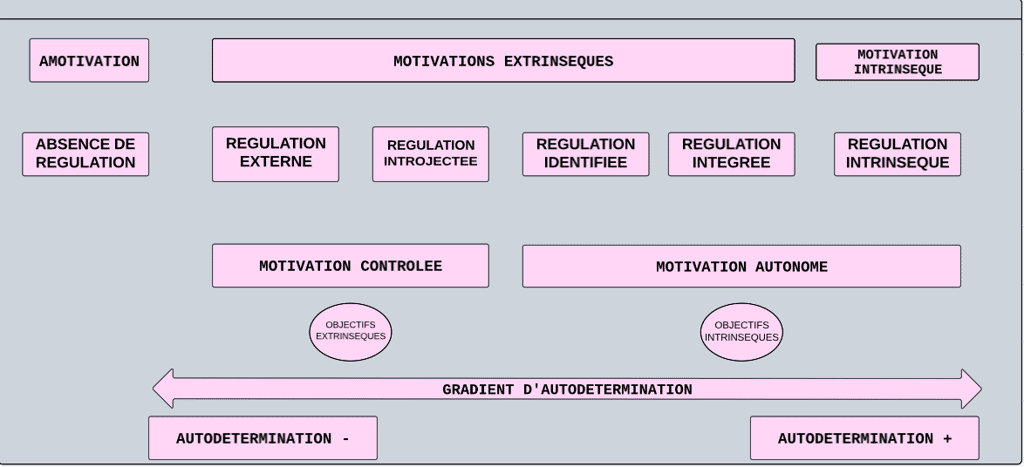 Nos émotions négatives jouent un rôle fondamental lorsqu'on poursuit un but